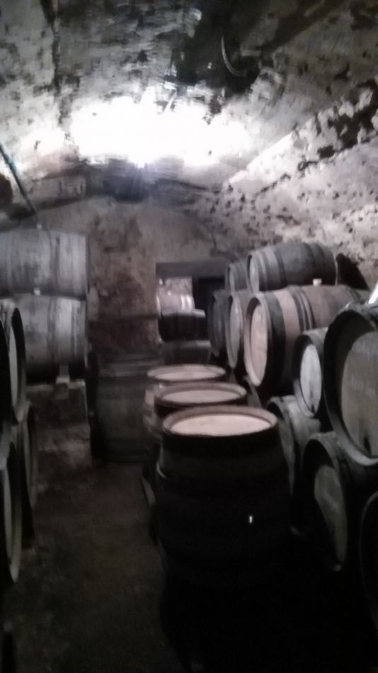 Visite Au Domaine Henri Bonneau du 2/11/2015 | La Cave de l'Ill
